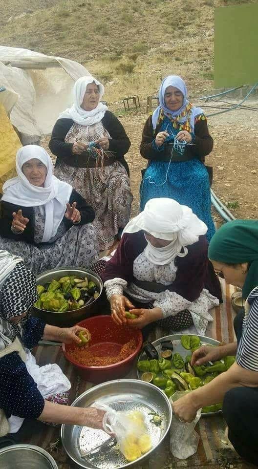 Kurdipedia - Kurdipedia is the largest multilingual sources for Kurdish ...